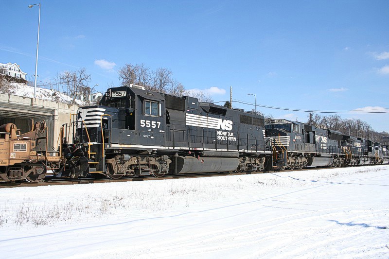 NS 5557